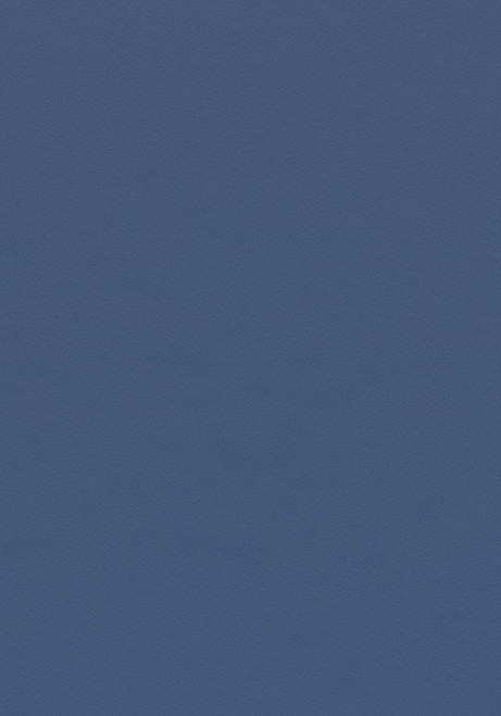 Forbo Desktop Furniture Linoleum 4174 conifer | Floormart