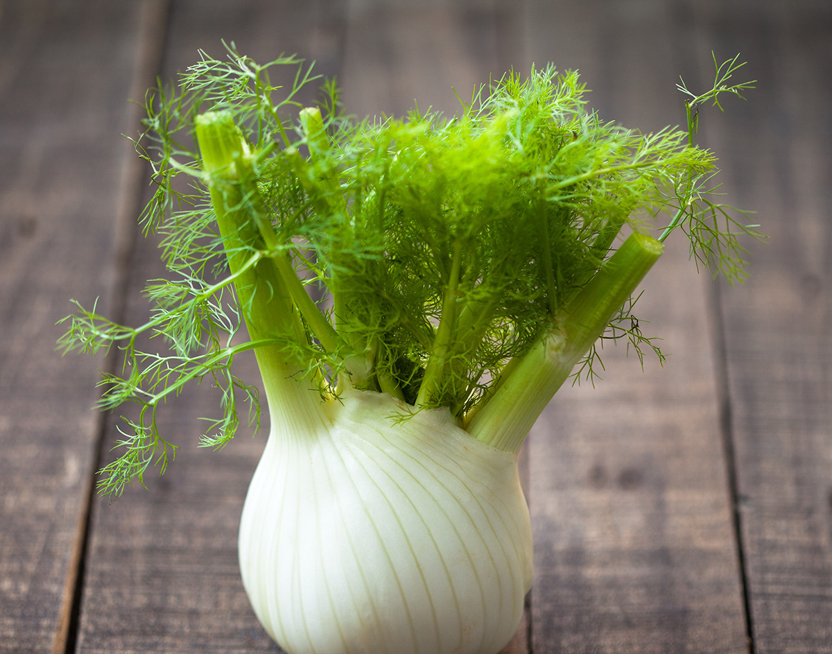 Sweet Fennel Essential Oil - Grampa's Garden a division of Canal Street ...