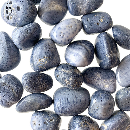 BLUE CORAL TUMBLED STONES | PEACE LOVE CRYSTALS