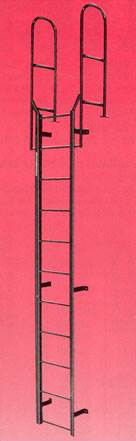 Caged Modular Ladder