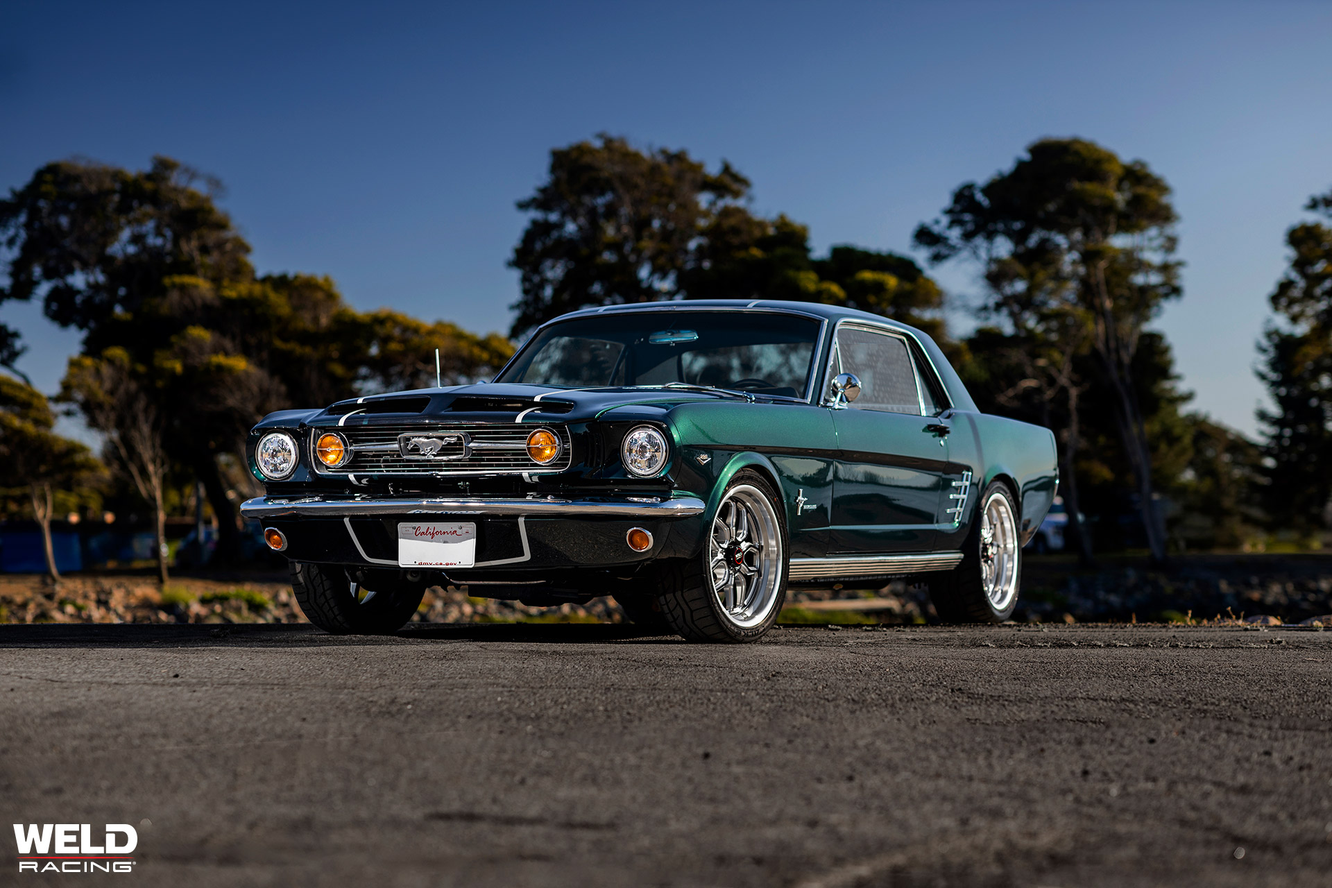 1966 Mustang Fastback Wheels A Coyote V8 Swapped 1966 Ford Mustang