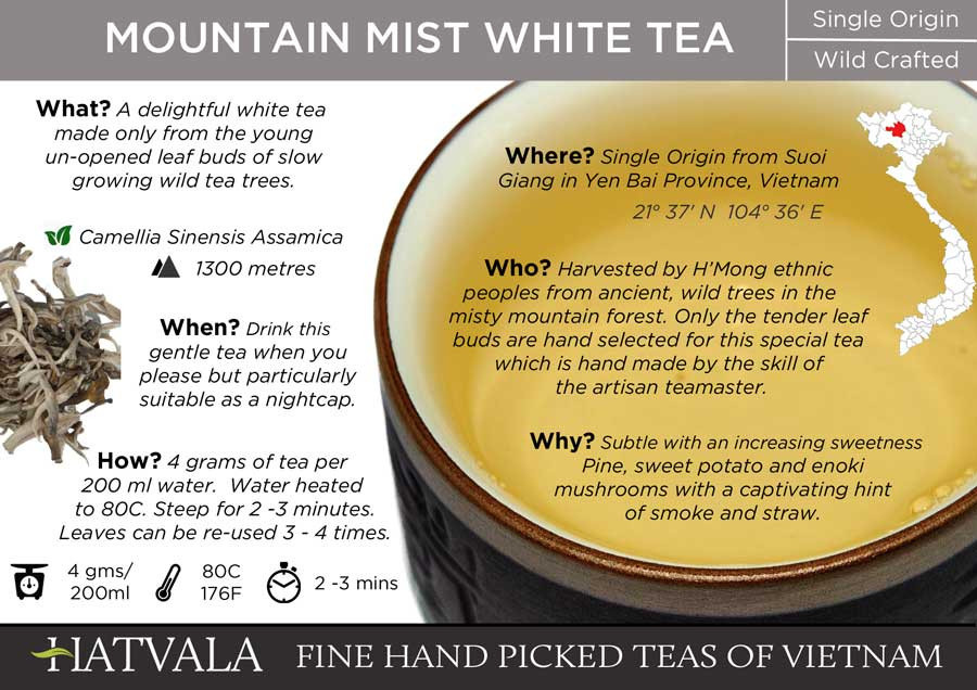 Mountain Mist White Tea: silver needle Vietnam white tea