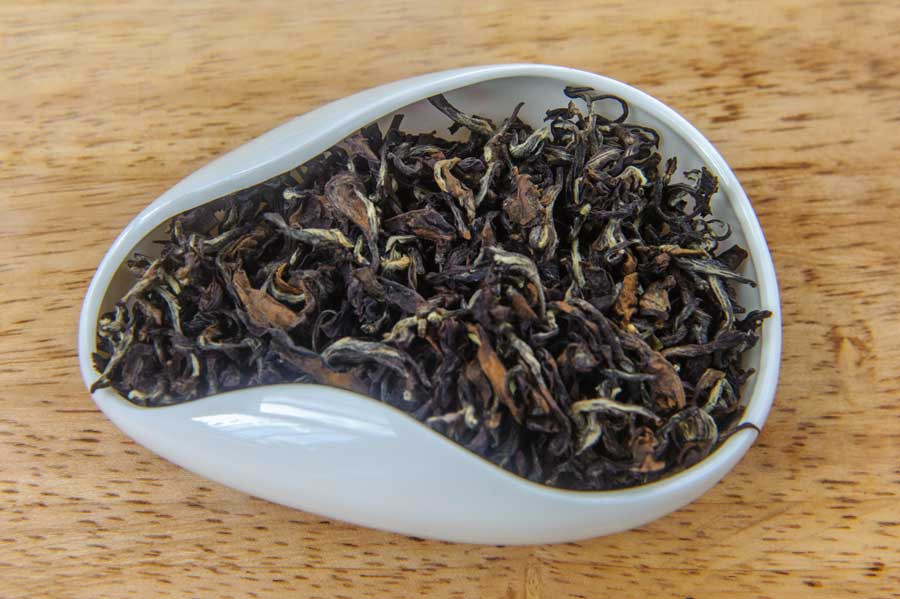 Oriental Beauty Oolong Tea. Bug bitten Vietnam oolong tea