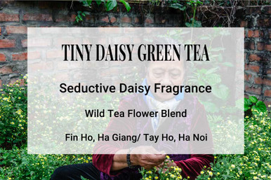 Tiny Daisy Tea: Wild green tea daisy blend; shan tuyet