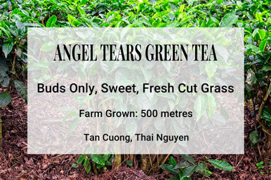 Angel Tears Green Tea. Tan Cuong, Vietnam tra dinh buds only green tea