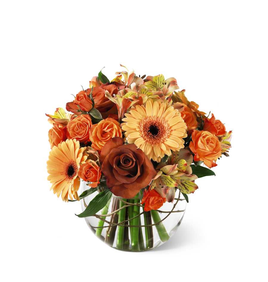 Fall Wonder - Rine's Florist