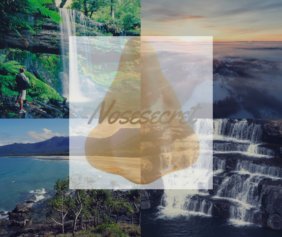 Did You Know The Environment Helped Determine The Shape of Our Noses ...