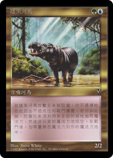 Pygmy Hippo | Visions - Chinese - Traditional | Star City Games