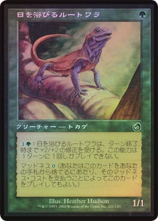 Basking Rootwalla | Torment | Star City Games