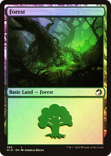 Forest (#384) | Innistrad: Midnight Hunt | Star City Games