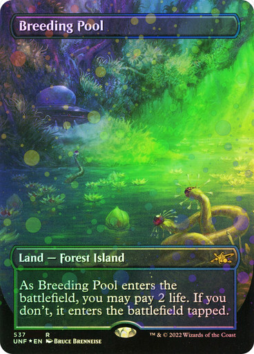 Breeding Pool (Borderless) (Galaxy Foil) | Unfinity - Variants - Galaxy Foil | Star City Games