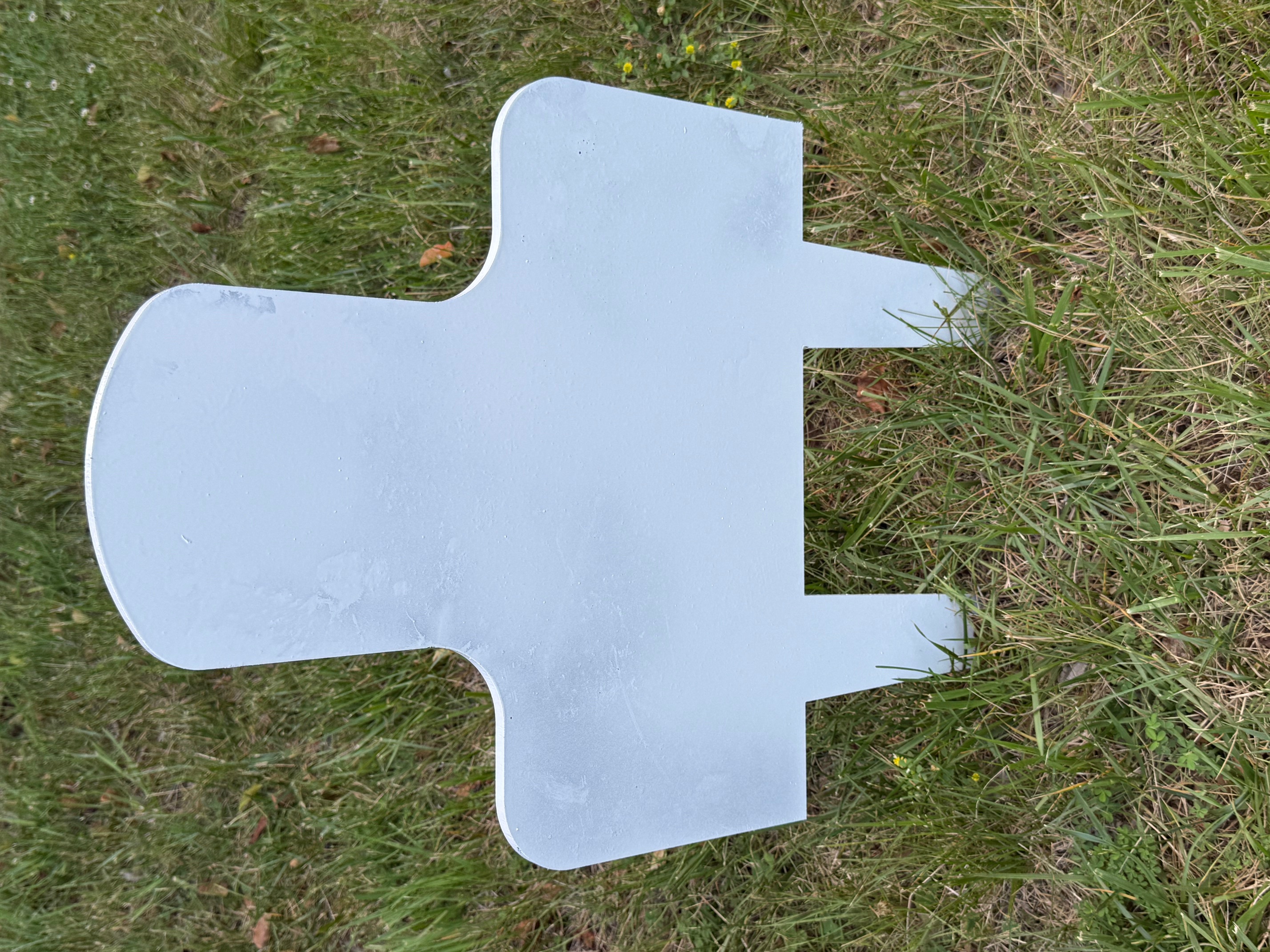 Battle Rifle Target