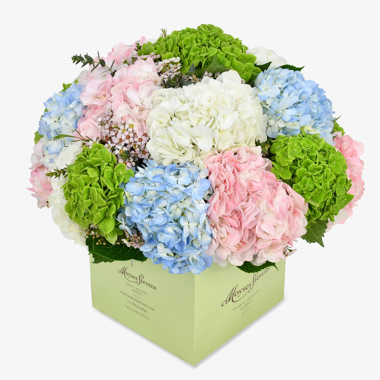 Heavenly Hydrnagea Bouquet - Moyses Stevens - Flower Delivery