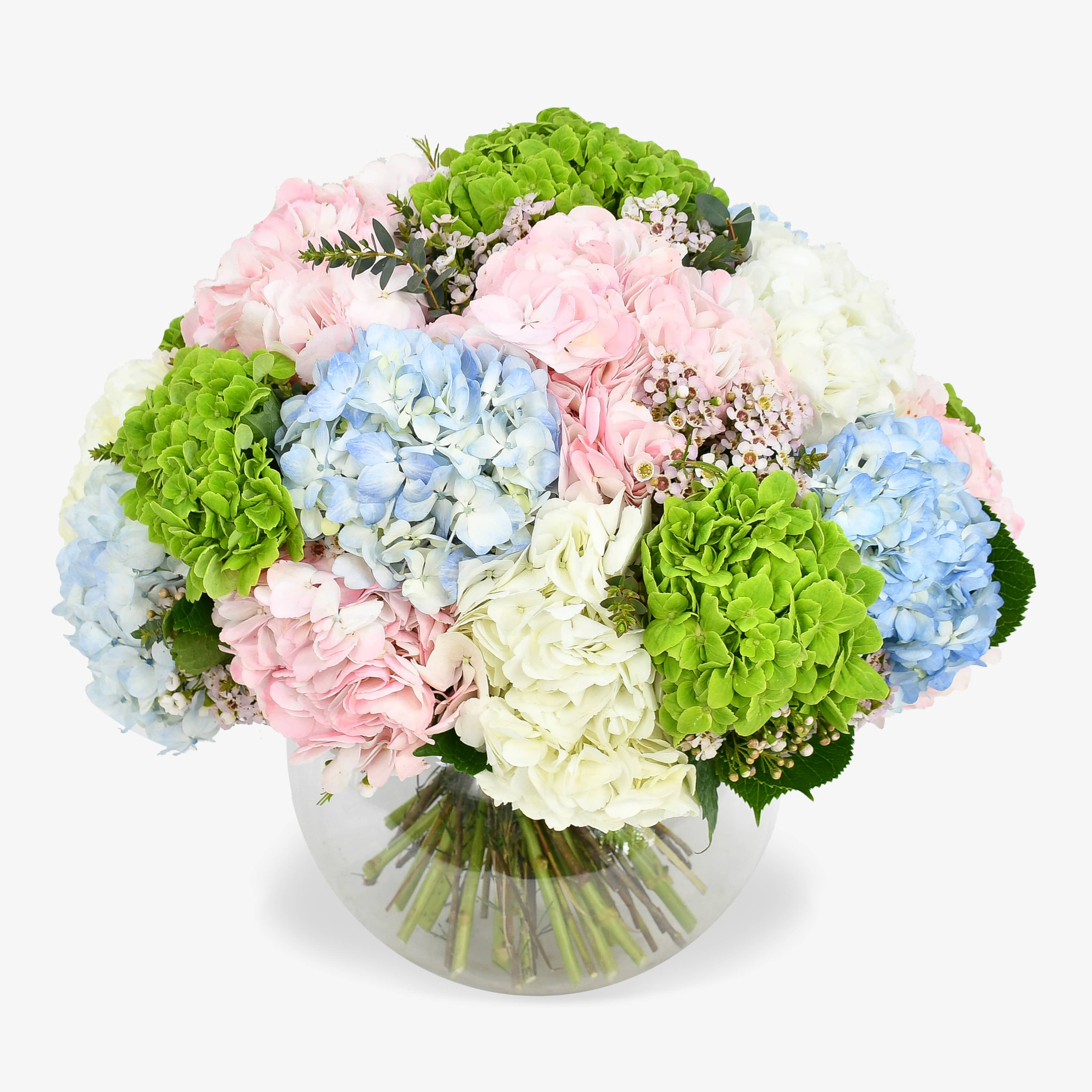 Heavenly Hydrnagea Bouquet - Moyses Stevens - Flower Delivery