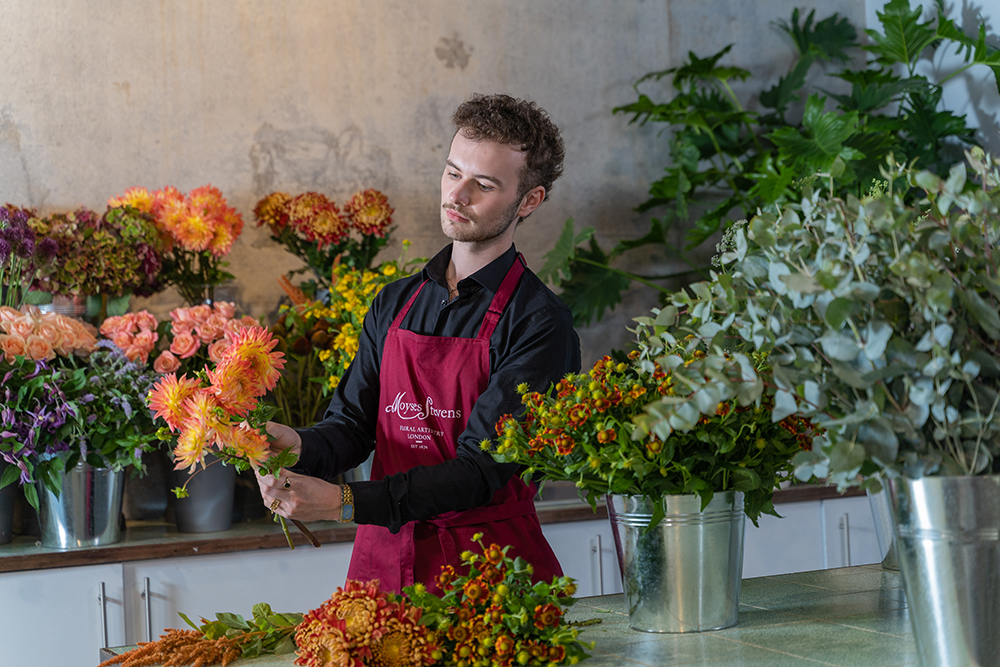 Autumn Stories by Benjamin Morgan - Moyses Stevens