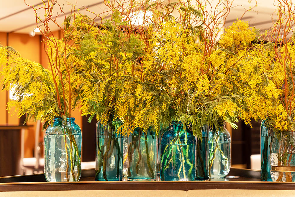 Seasonal Favourite - Mimosa - Moyses Stevens