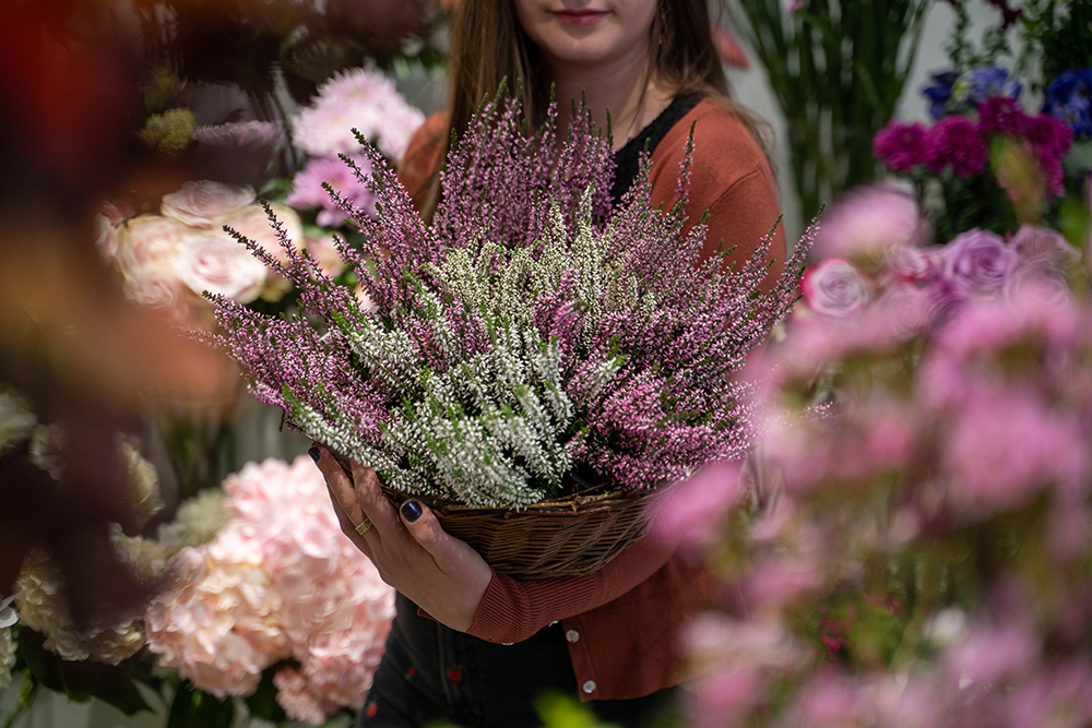 Moyses Stevens Chelsea: A Flowery Destination - Moyses Stevens