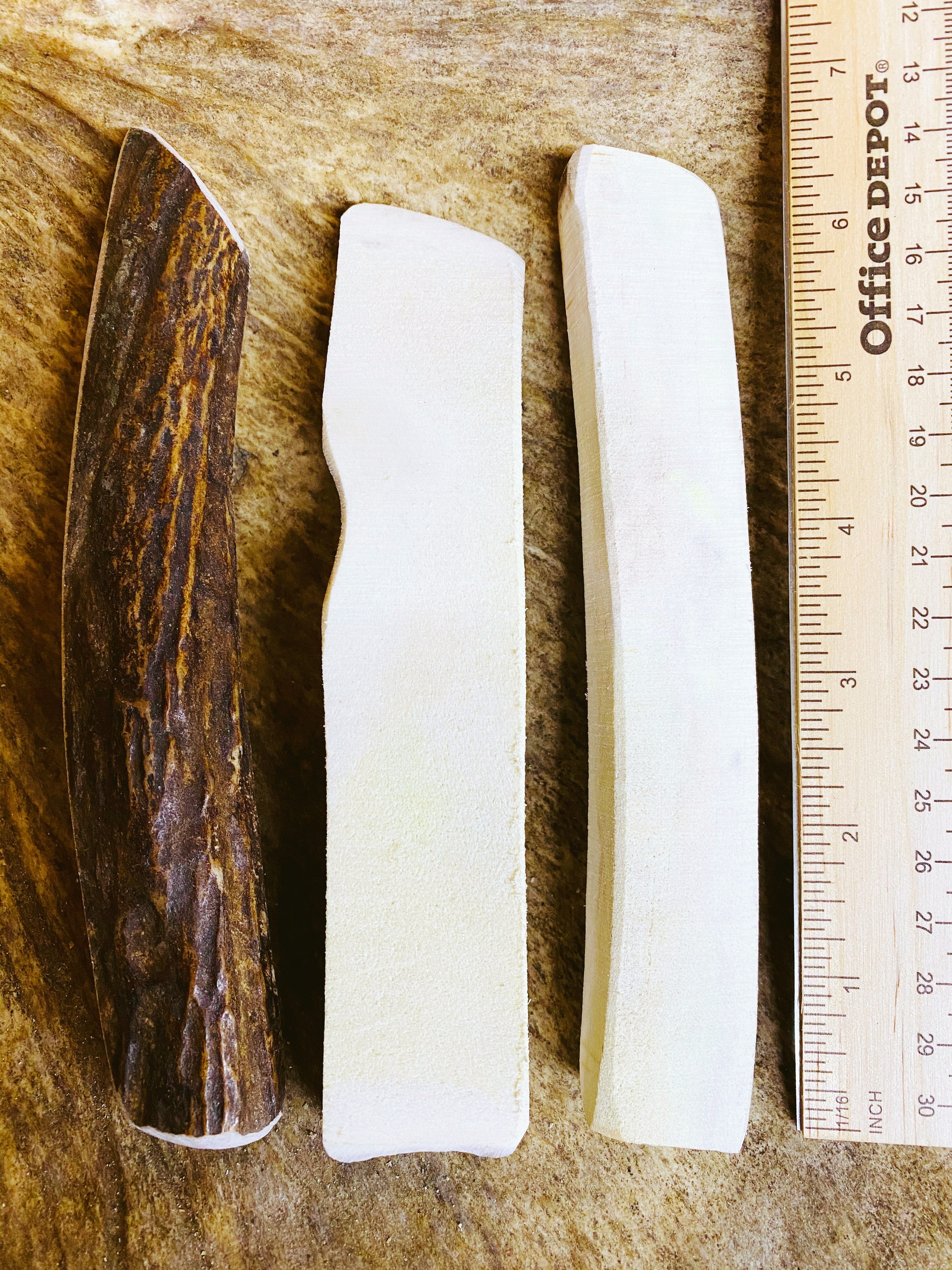 America's Best Moose Antler Chews | Mountain Dog Chews