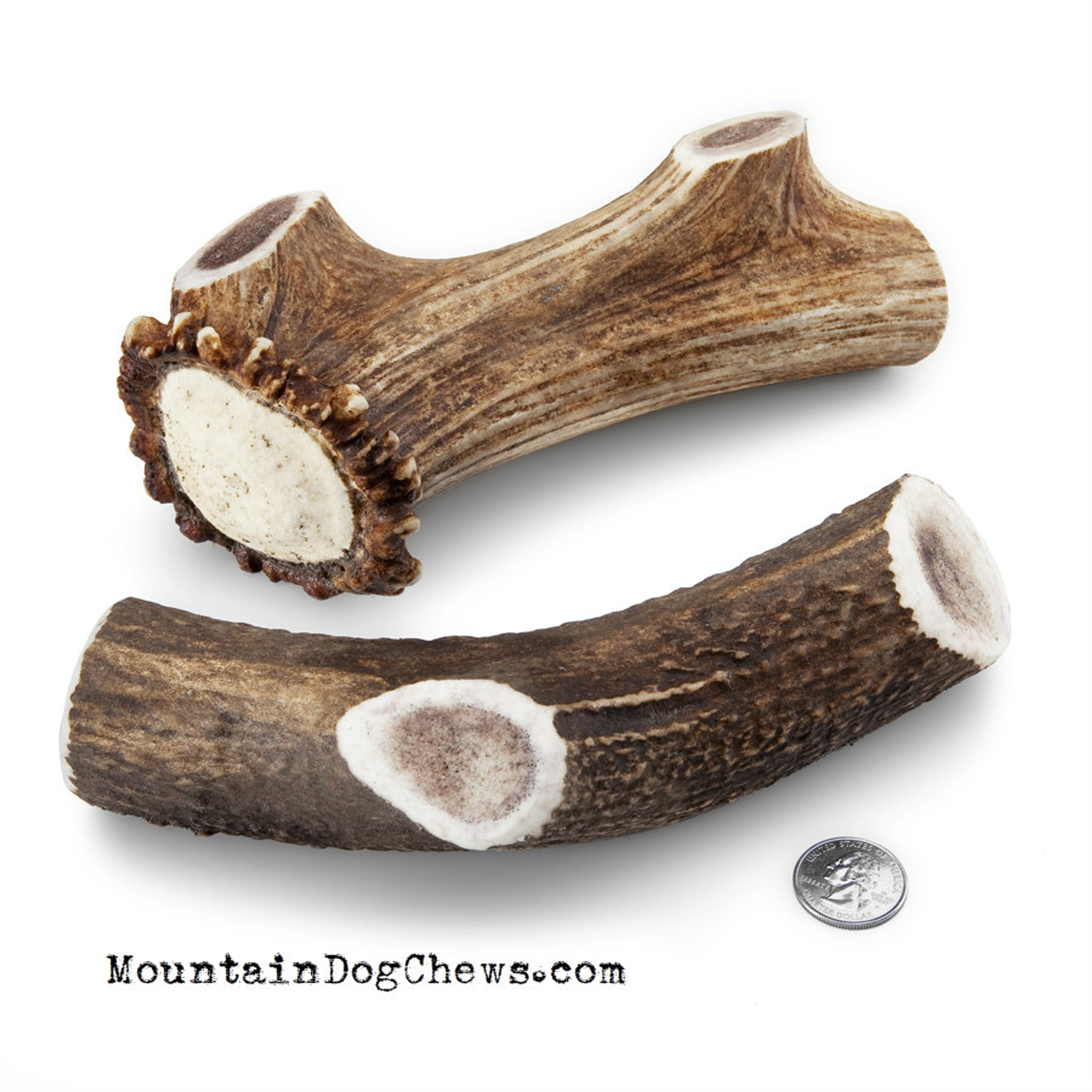 Large Elk Antler Chew | Mountain Dog Chews Large Elk Antler Chew | Mountain Dog Chews