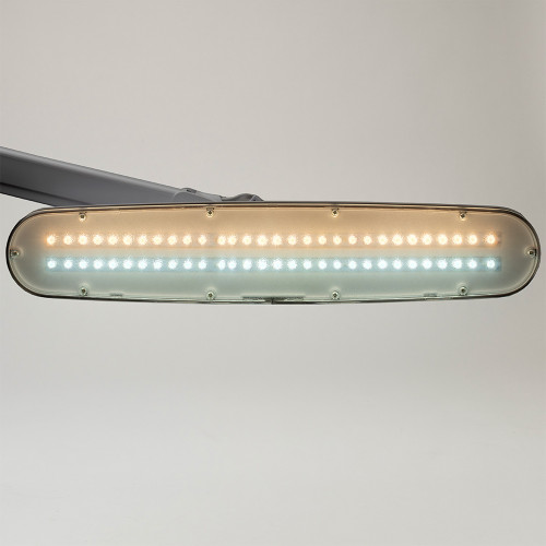 LED Task Light | Professional, Fully Adjustable Task Lamp