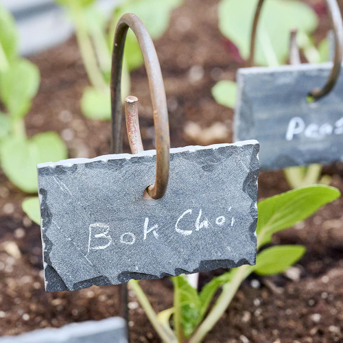 Slate Stone Garden Labels with Steel Stakes (6 pcs)