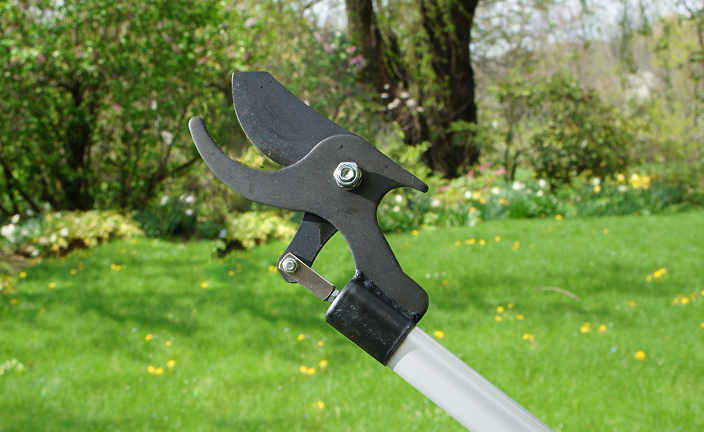 Essential Tools for Spring - Garrett Wade