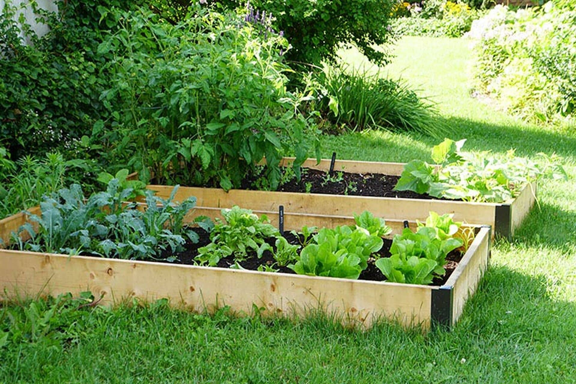 Raised Bed Garden Design - Garrett Wade