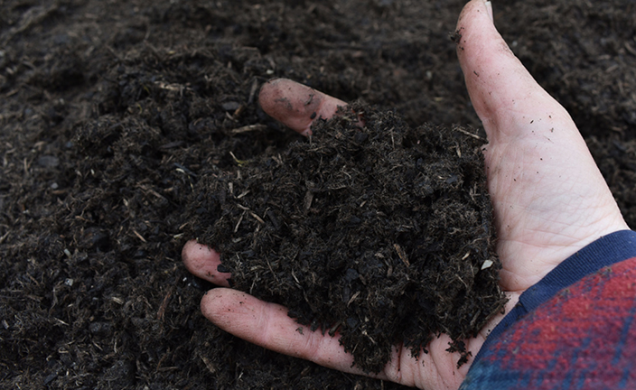 Making Your Own Biochar - Garrett Wade