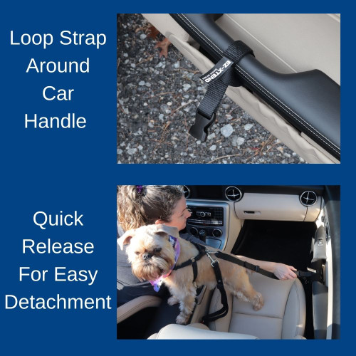 EZ-Xtend Dog Car Restraint System - Keep Fido Off