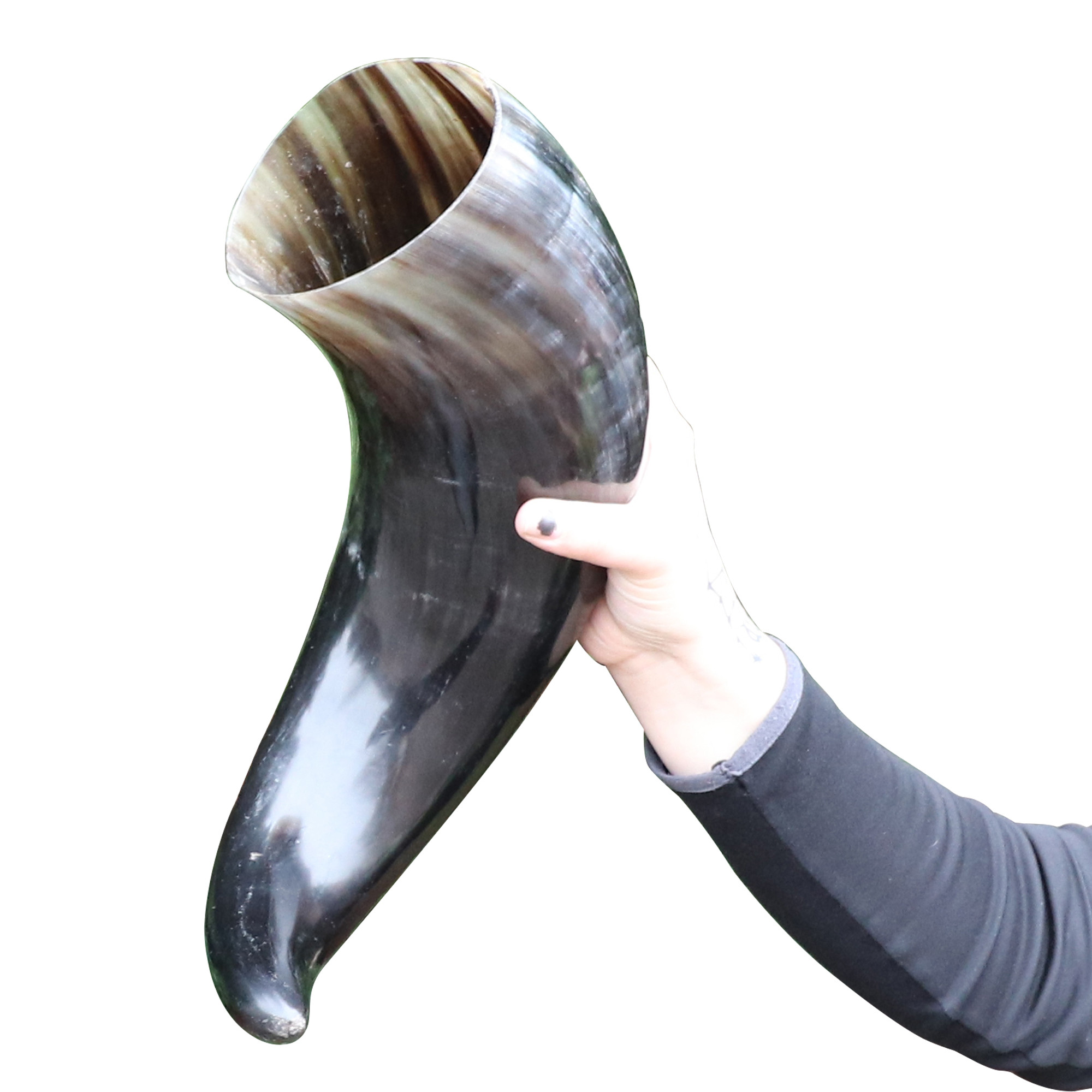 Extra Large All Natural Drinking Horn with Black Leather Belt Frog Holster
