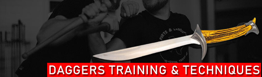 Dagger Mastery: Training and Techniques for the Modern Warrior ...
