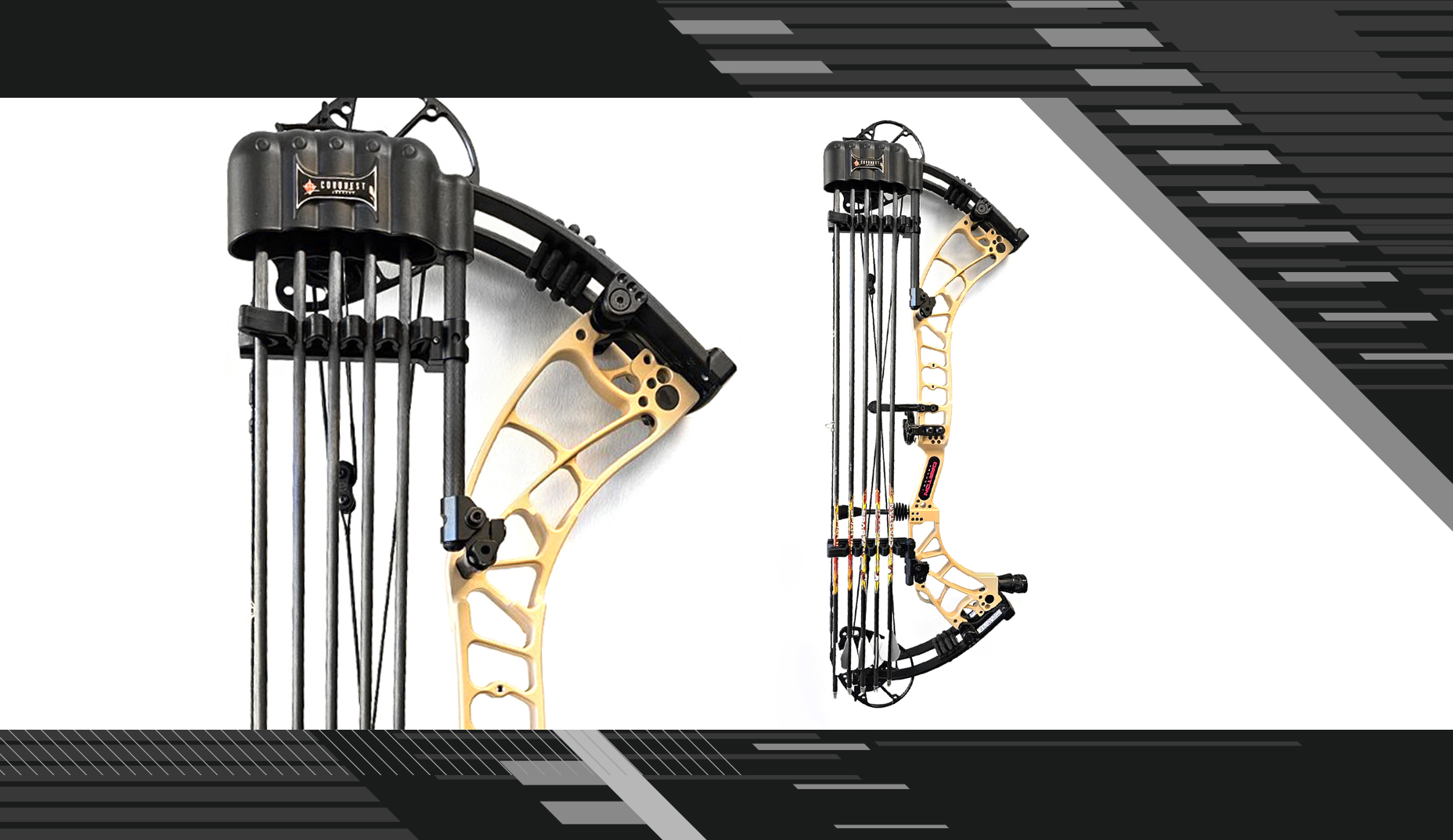 America's Archery Company since 1950