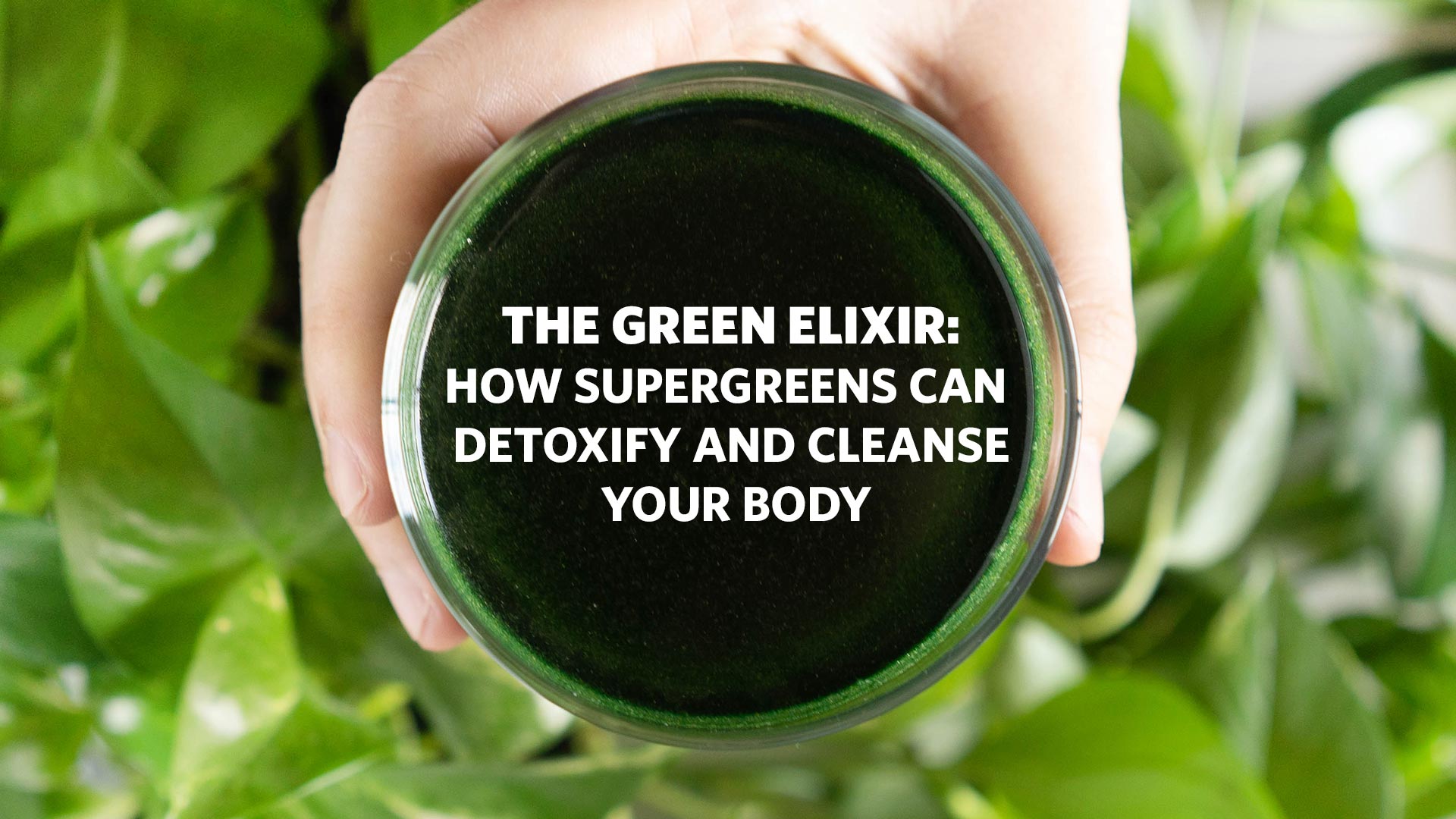 The Green Elixir: How Supergreens Can Detoxify and Cleanse Your Body ...