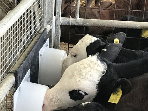 Heatwave Lamb Milk Feeder Teat Guard