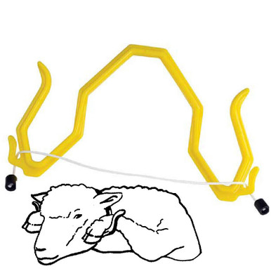 Sheep Restrainer Gambrel