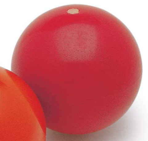 Indoor Shots Hard Shell | Stackhouse | On Track & Field