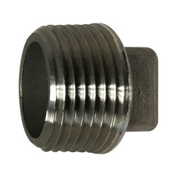 Stainless Steel 150# Cap/Plug