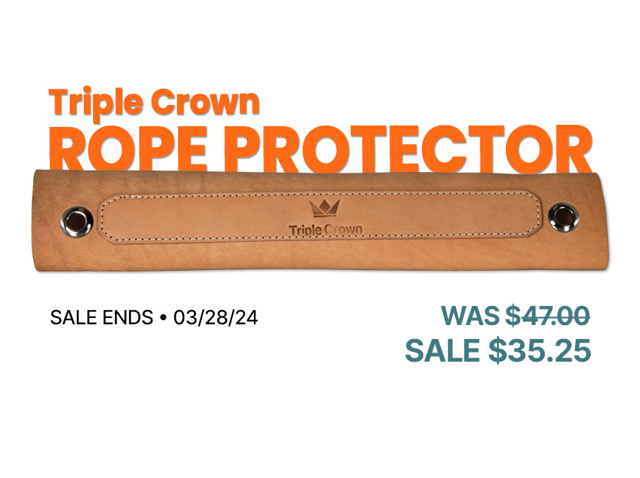 High Rise Window Cleaning | Abc Window Washing Equipment