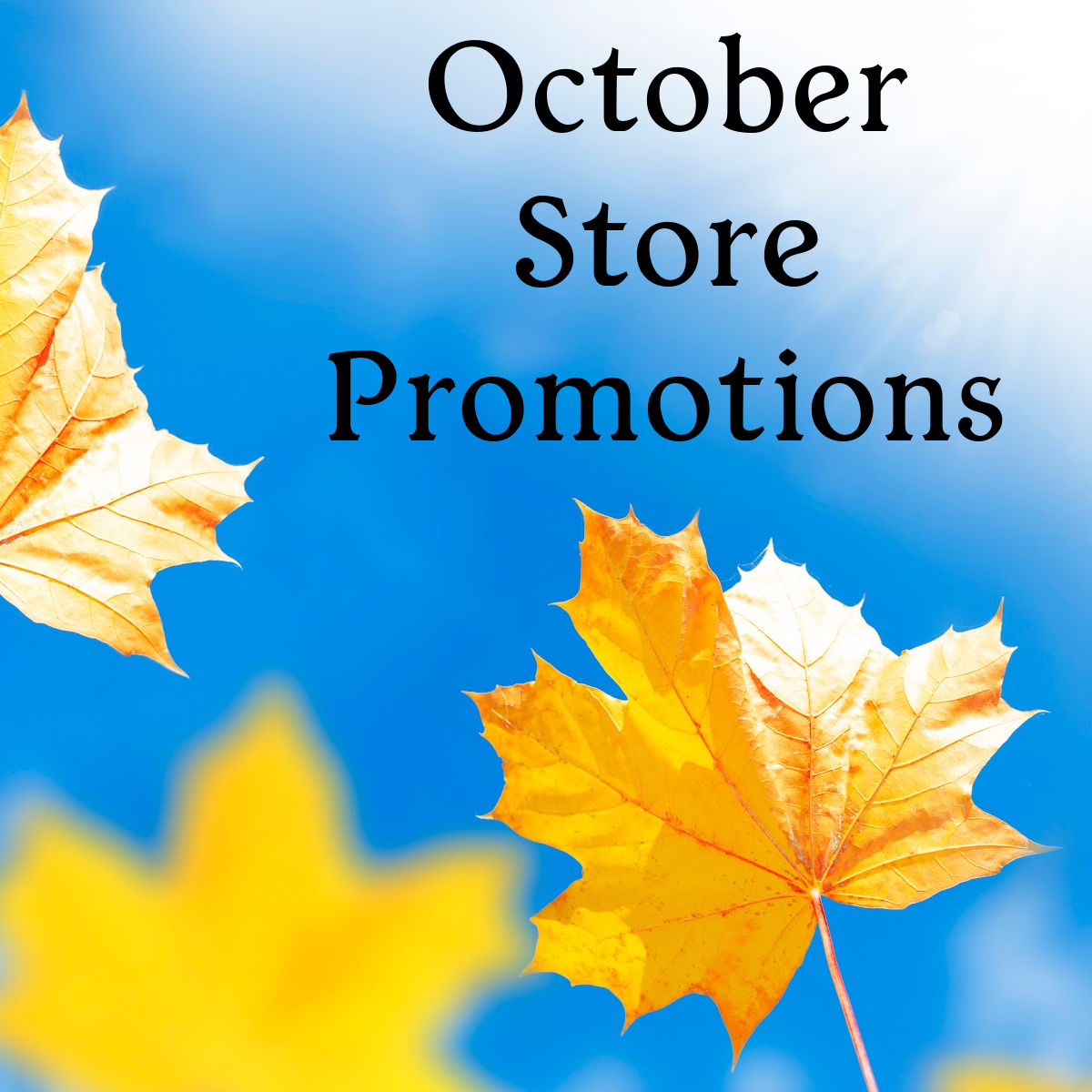 October Promotions - Off the Beaded Path