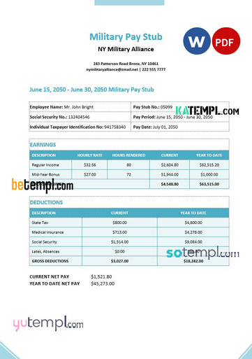 Military paystub Word and PDF template