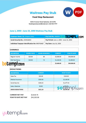 Waitress Pay Stub Word and PDF template