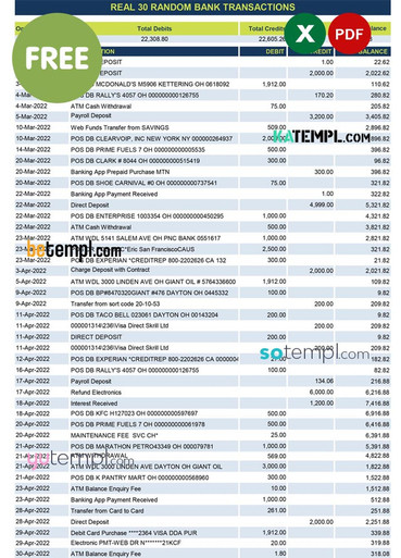 real 30 random bank transactions Excel and PDF template