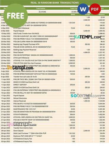 real 30 random bank transactions Word and PDF template