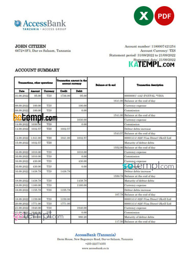 Tanzania Access bank statement, Excel and PDF template