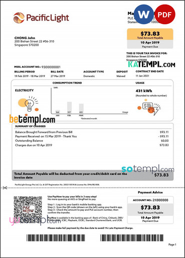 Singapore Pacific Light electricity utility bill template in Word and ...