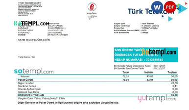 Turkey Turktelekom utility bill template in Word and PDF format, fully ...