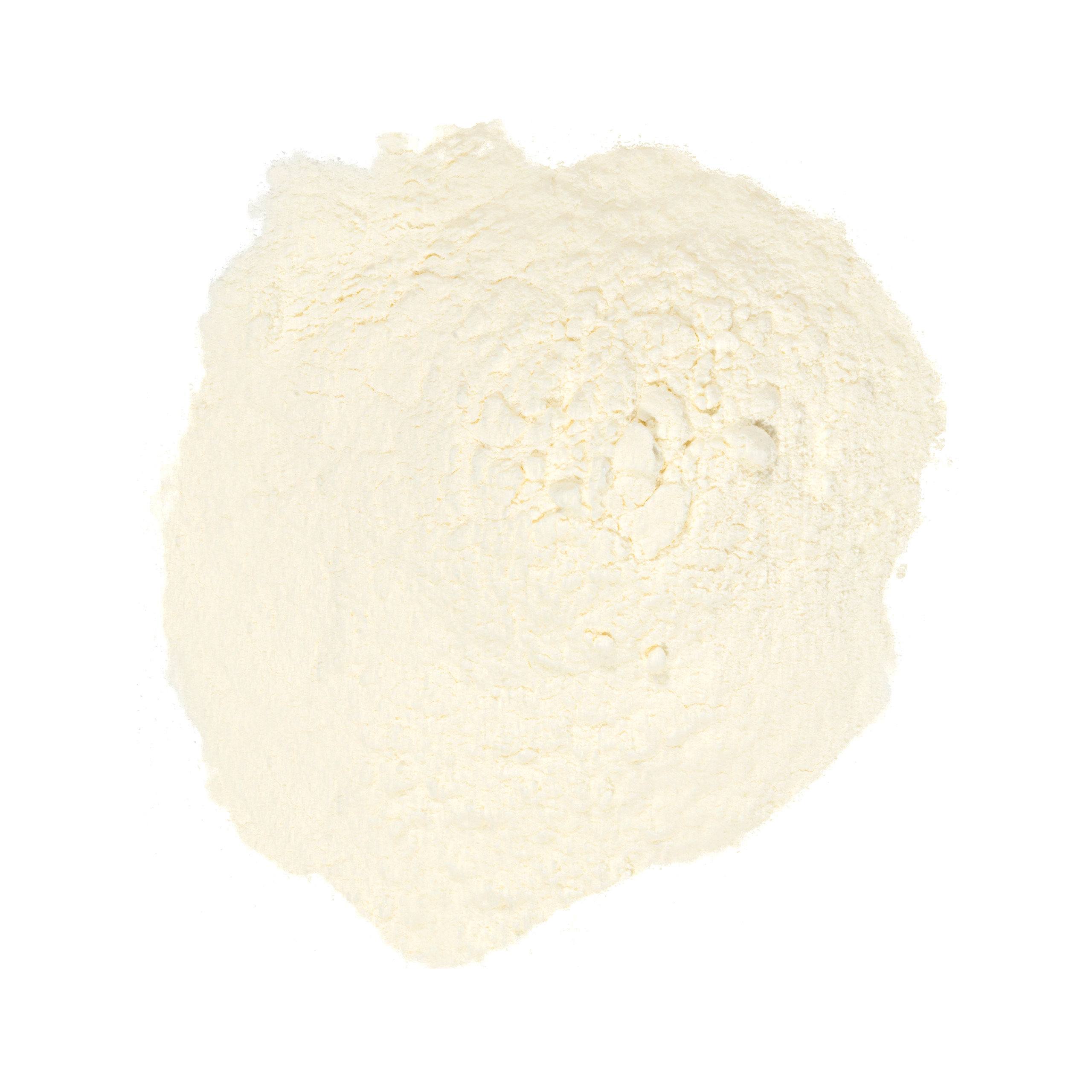 Cream Cheese Powder | Powdered Cream Cheese for Baking