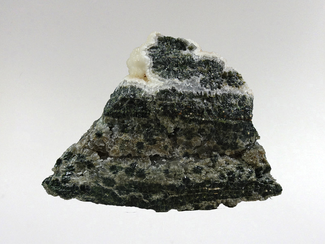 Orbicular Jasper 8 - Crystal Store Australia