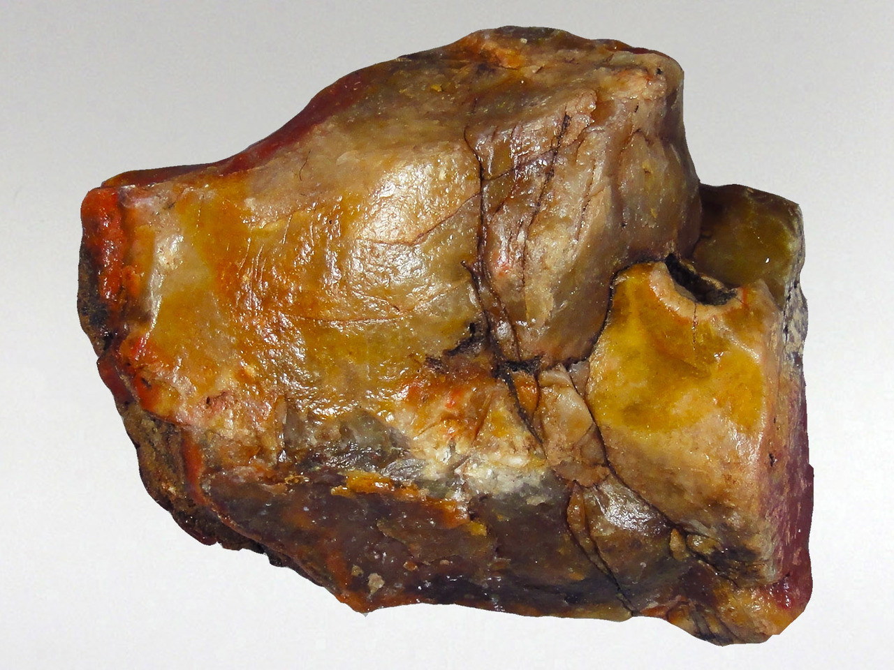 Coprolite (Dinosaur Poo) 7 - Crystal Store Australia