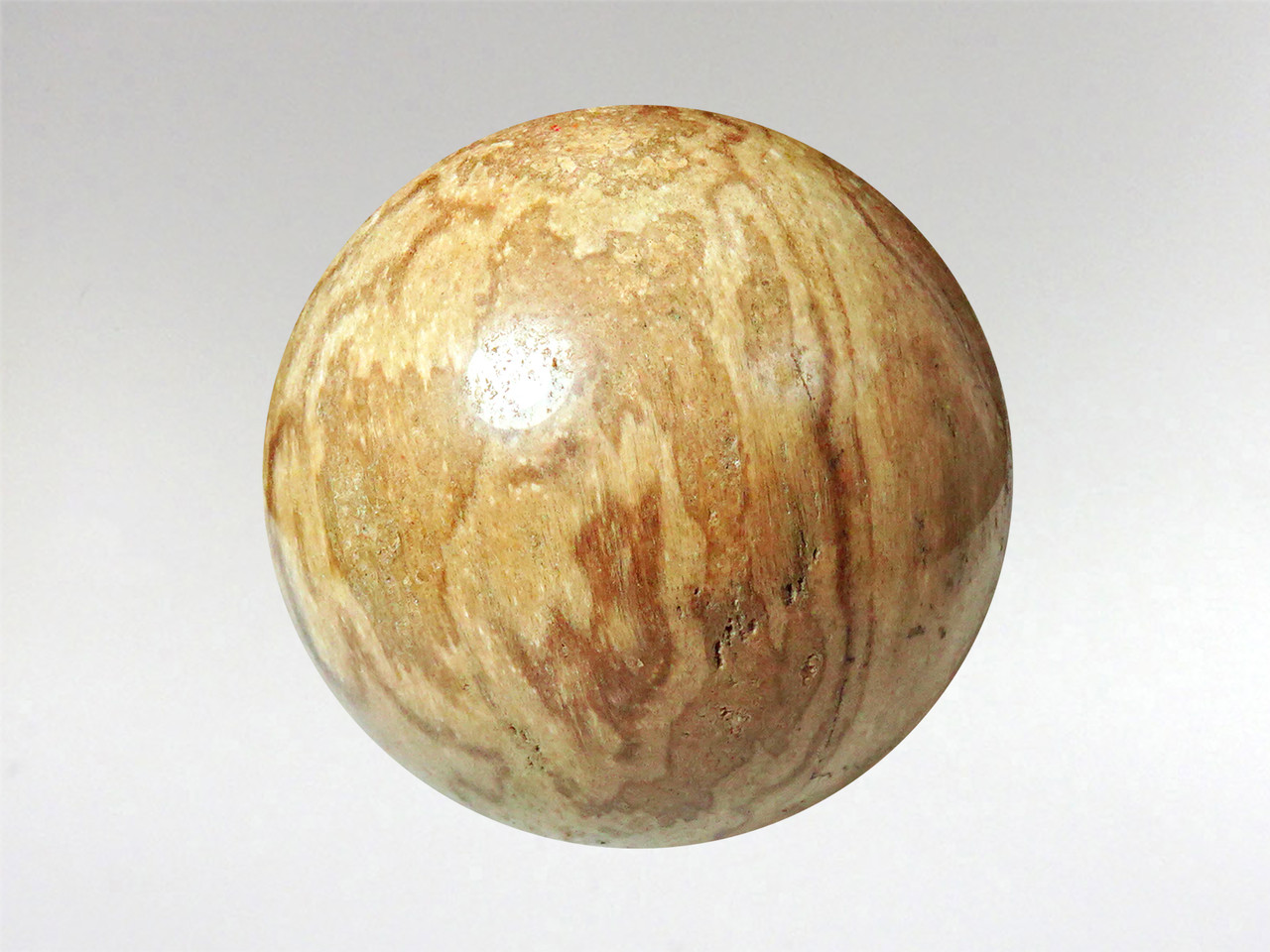 Crystal Ball - Fossil Wood - Crystal Store Australia